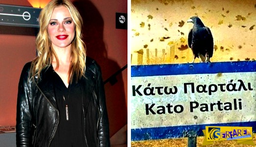 kato partali Archives - Serfare.com